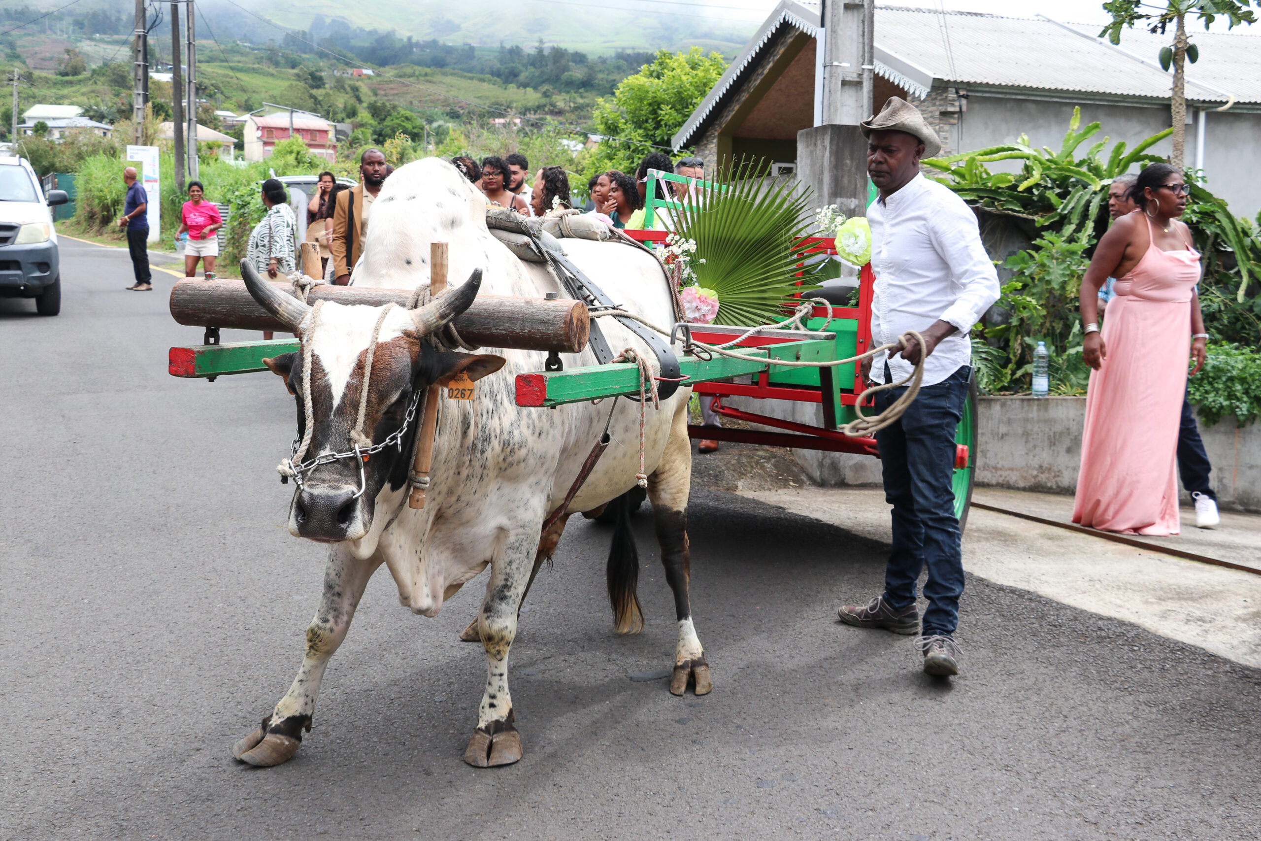 Terroir et ambiance festive au Plate ! - Saint-Leu